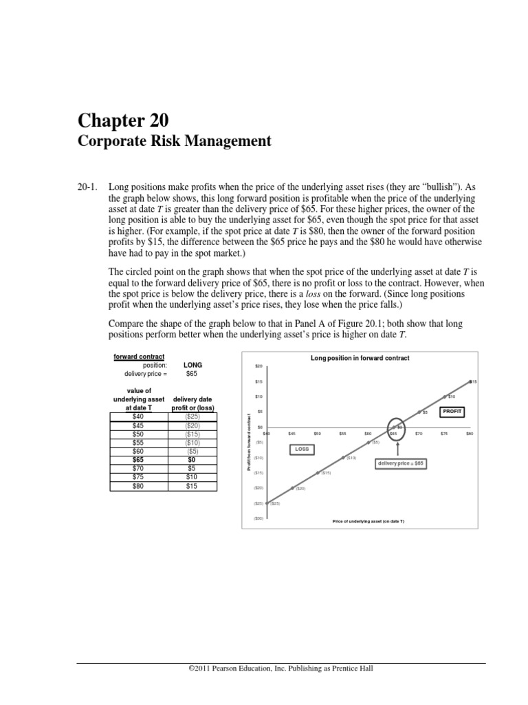 Part 2 - TKM0844 - 11E - IM - Ch20 PDF | PDF | Option (Finance) | Hedge (Finance)