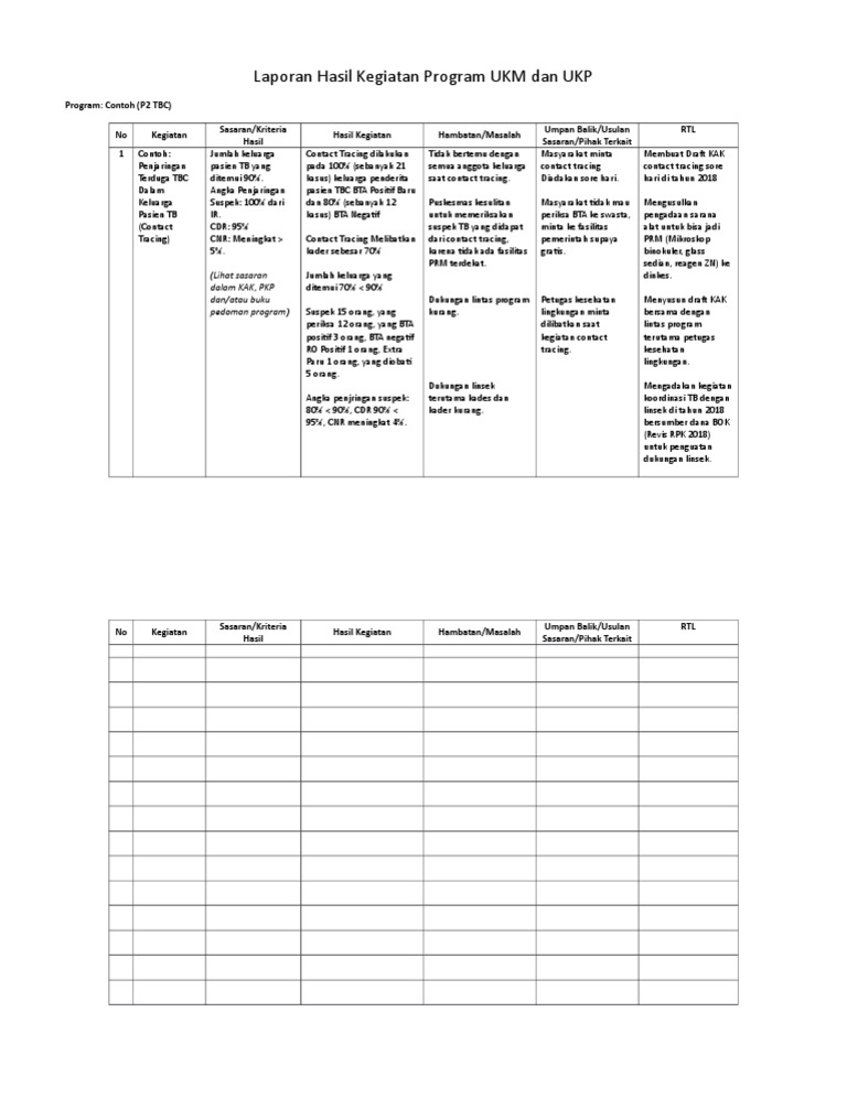 Laporan Hasil Kegiatan Program UKM Dan UKP | PDF