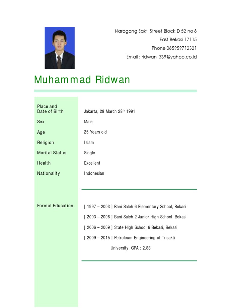 CV Muhammad Ridwan | PDF | Computing | Science