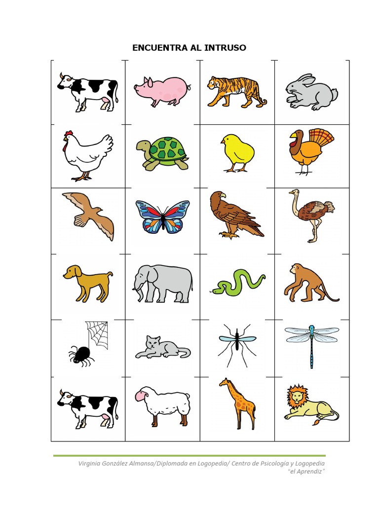 Encuentra Al Intruso | PDF