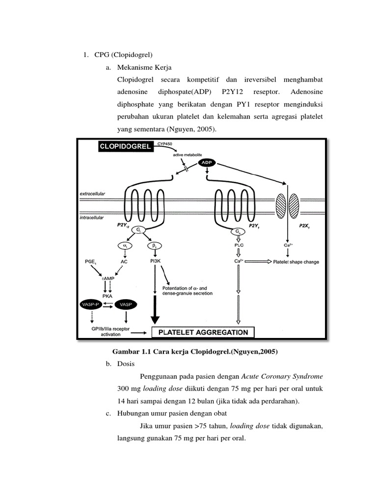 CPG Dan Canderin | PDF