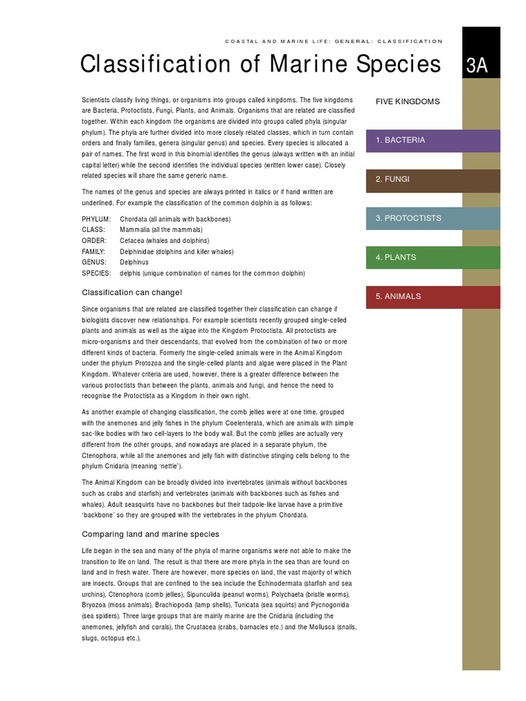 3A General - Classification | Download Free PDF | Plants | Algae