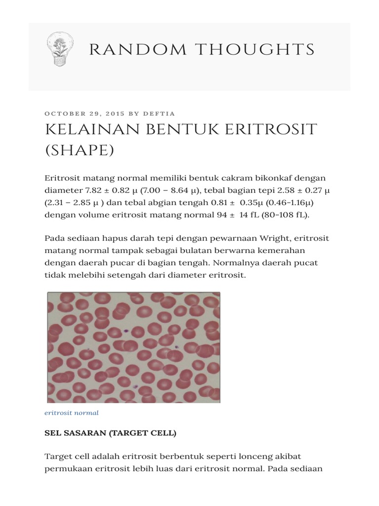 Kelainan Bentuk Eritrosit Pdf