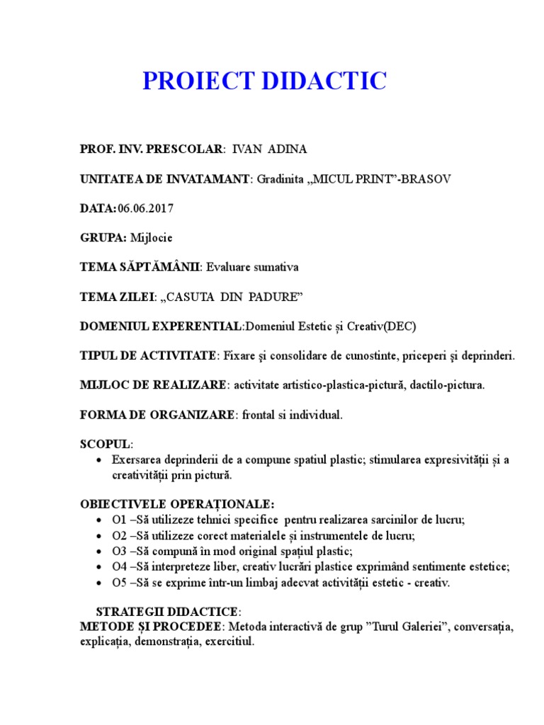 Proiect Didactic Dec Pictura | PDF