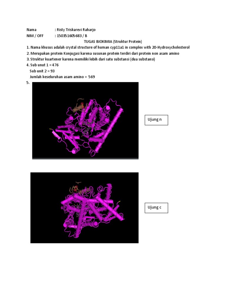 Struktur Kuartener Protein CYP11A1 | PDF | Sains & Matematika