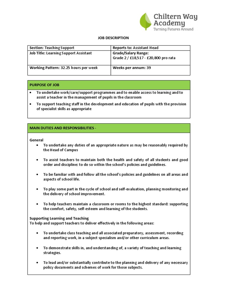 LSA Job Description Nov 2017 | PDF | Teachers | Curriculum