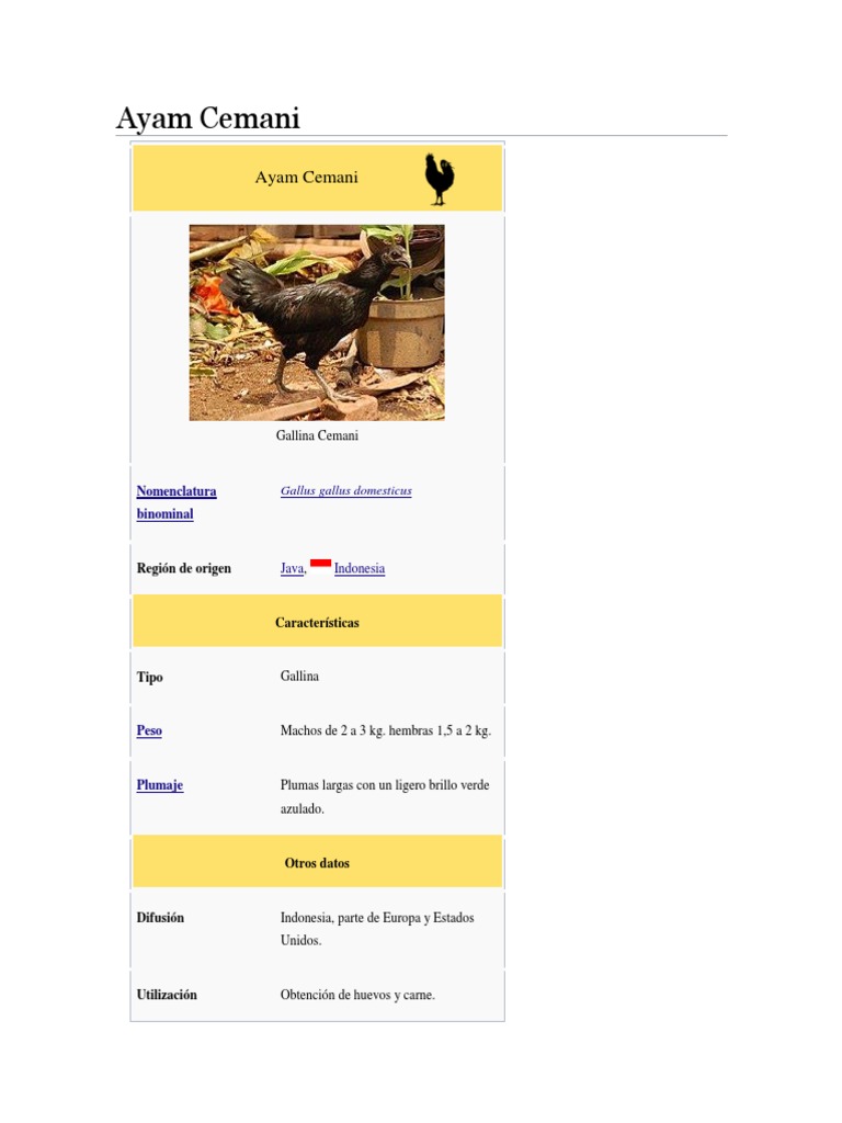 Ayam Cemani: Pollo Negro de Java | PDF | Aves de la jungla | Pollo