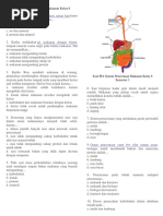 Latihan Soal Sistem Pencernaan Manusia Kelas 8 | PDF | Kesehatan Holistik