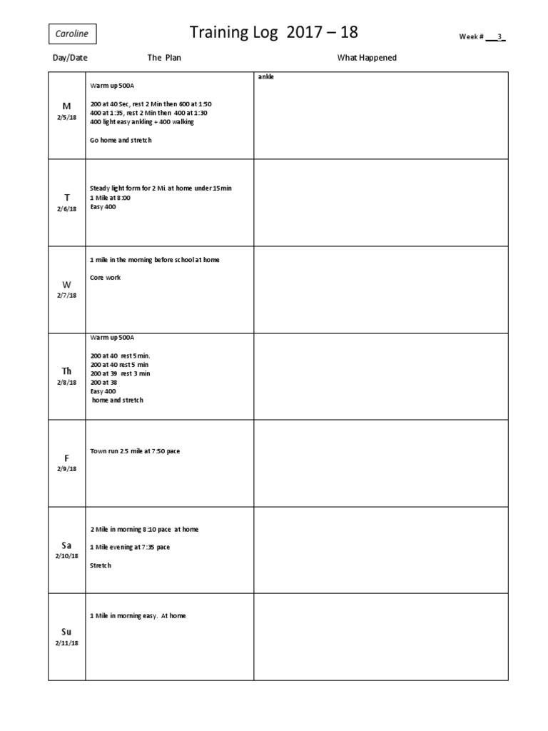 Training Log C3 | PDF
