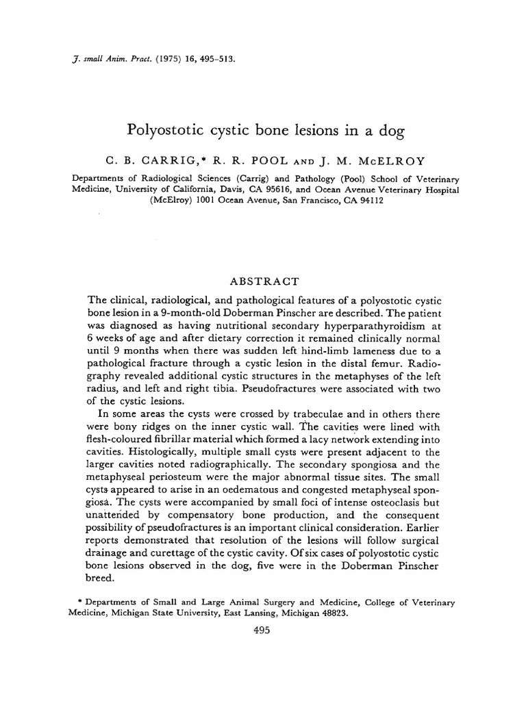 Polyostotic Cystic Bone Lesions in Dog: B. Carrig, R. R. Pool J | PDF ...