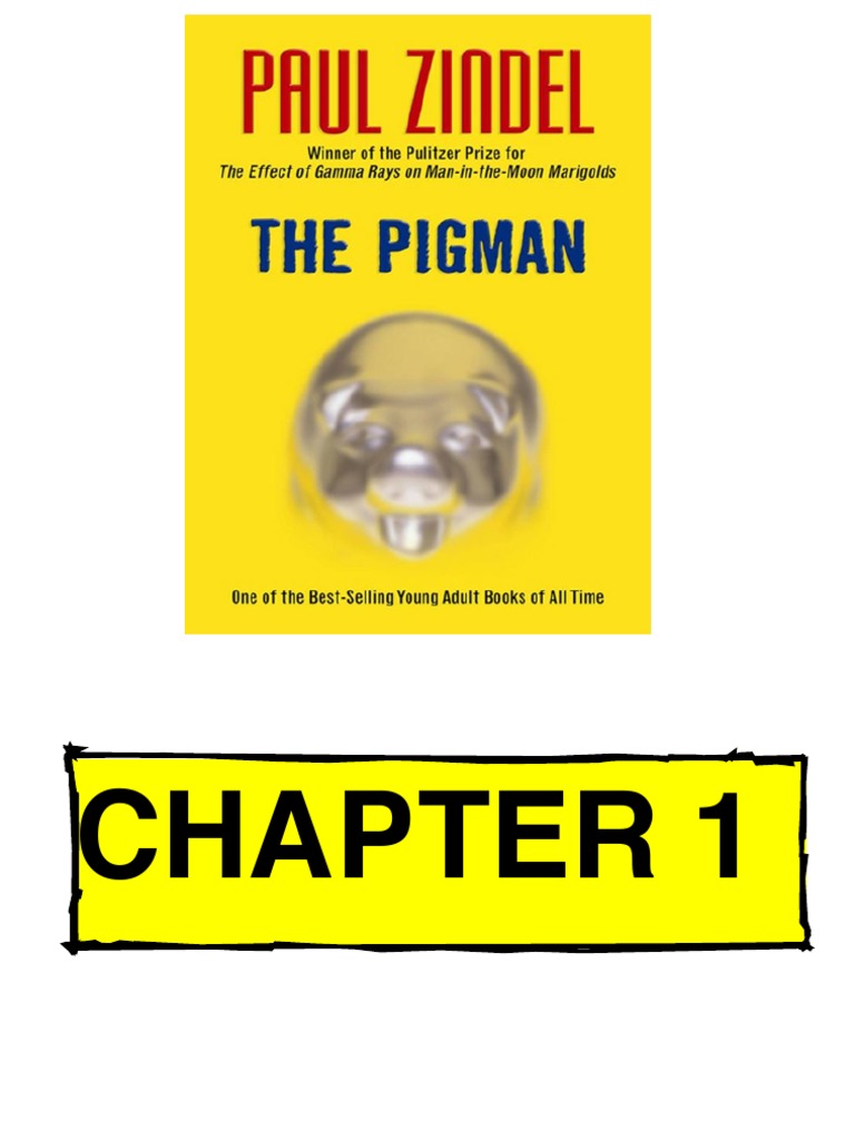 The Pigman: Chapter Summaries | PDF