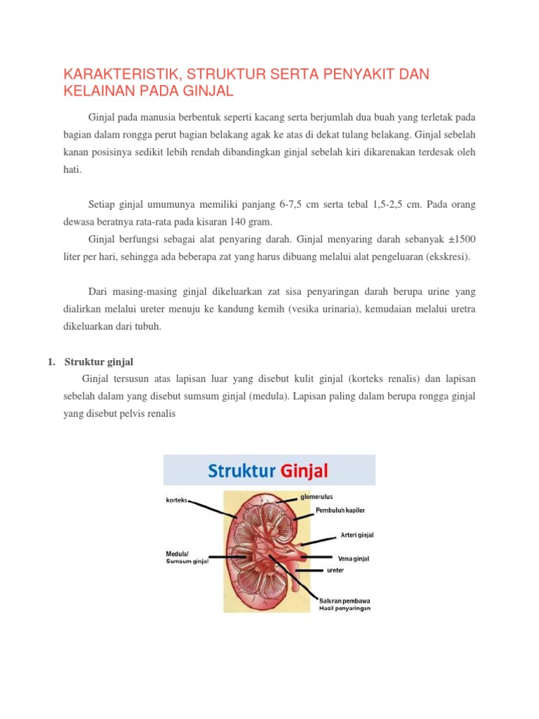 Struktur dan Penyakit Ginjal | PDF