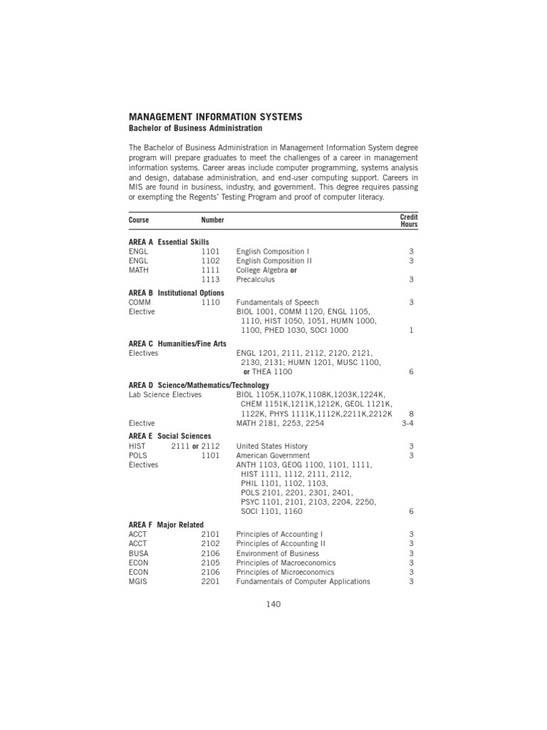 BBA in Management Information Systems | PDF | Information System ...