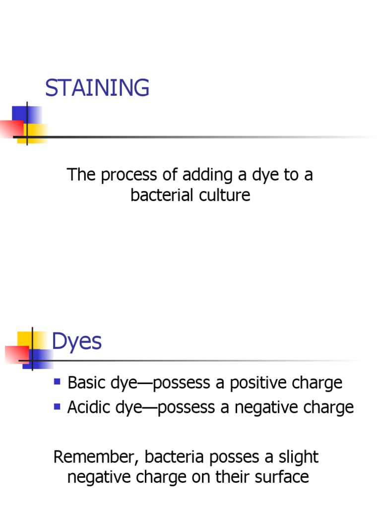 Week 2-2 Simple Staining | PDF