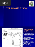 Rumus Menghitung Klirens Kreatinin | PDF