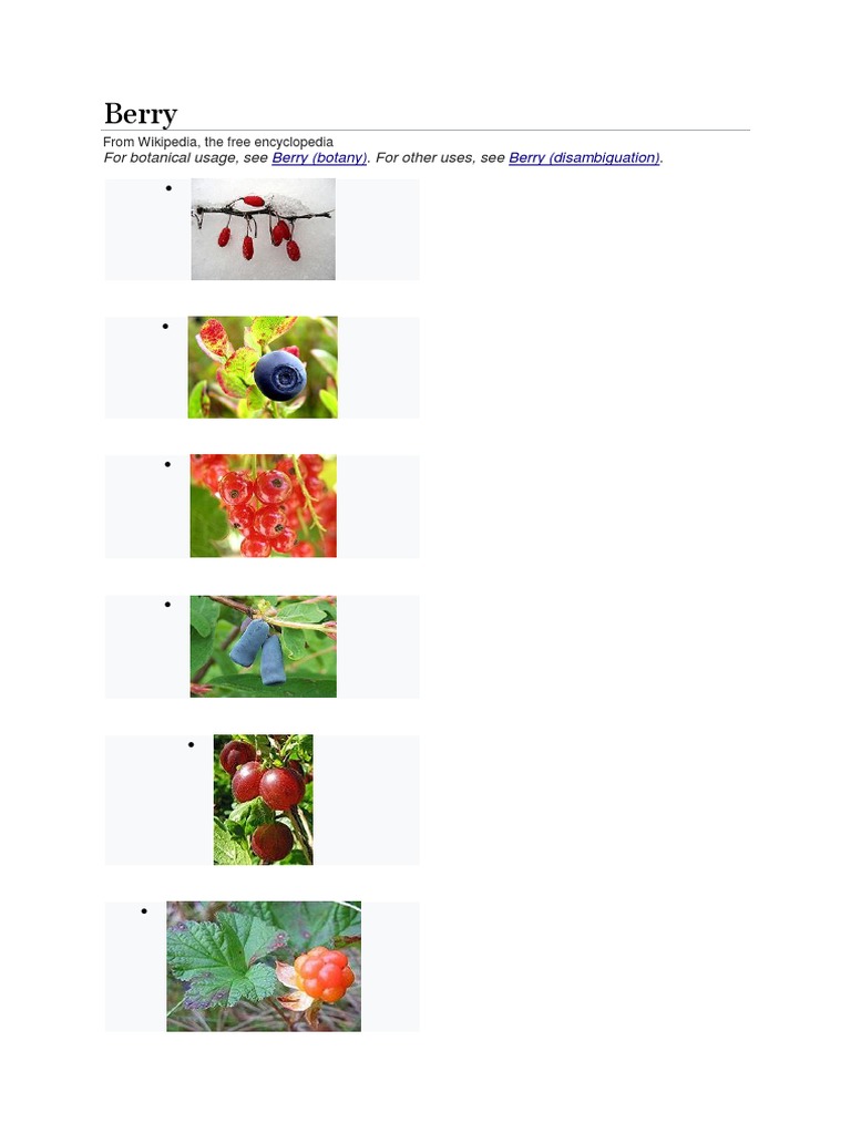 Berry: For Botanical Usage, See - For Other Uses, See | PDF | Berry ...