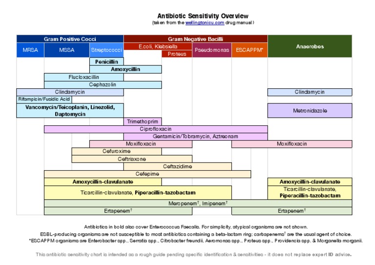 Antibiotic Overview PDF
