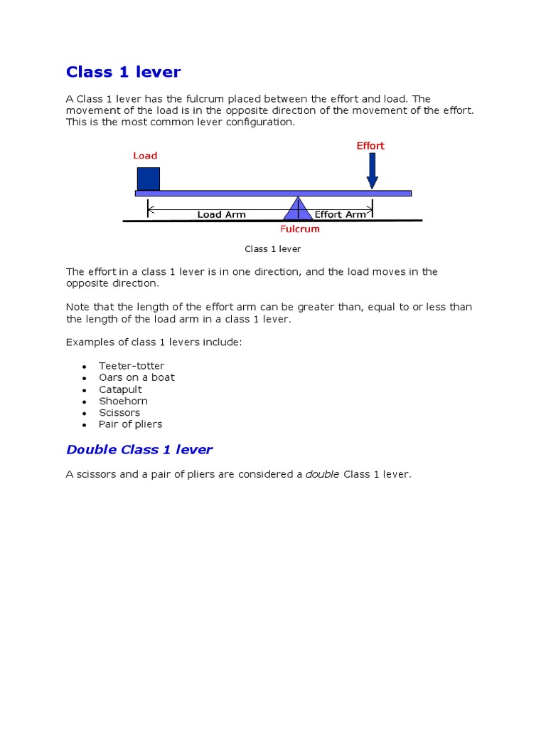 Double Class 1 Lever | PDF | Lever | Classical Mechanics
