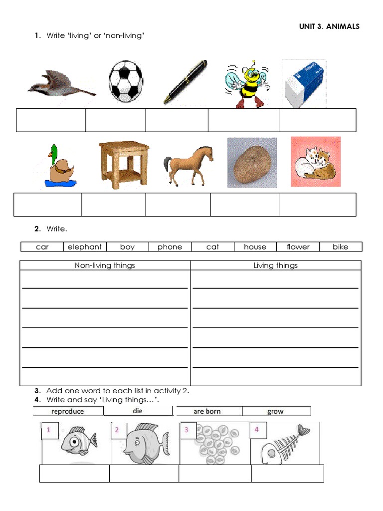 Unit 3. Animals 1. Write Living' or Non-Living' | PDF