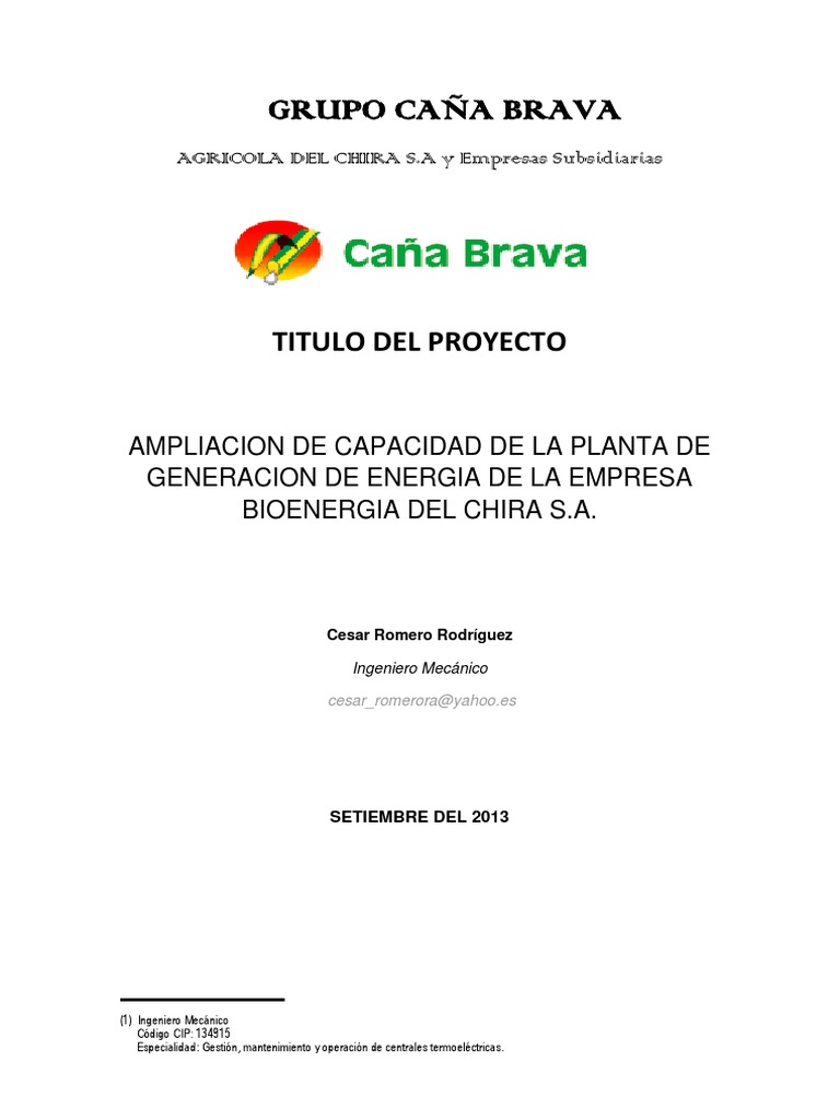 Grupo Cana Brava Titulo Del Proyecto PDF | PDF | Combustión | Generación eléctrica