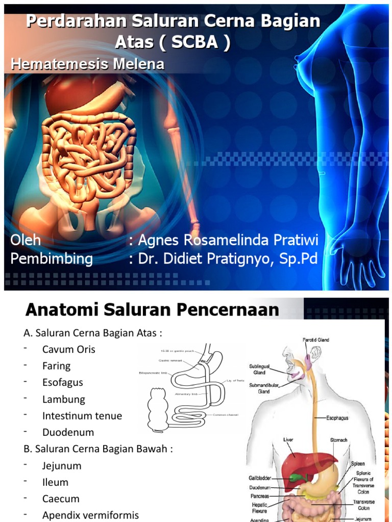 Hematemesis Melena Agnes Rosamelinda 1102007009 | PDF