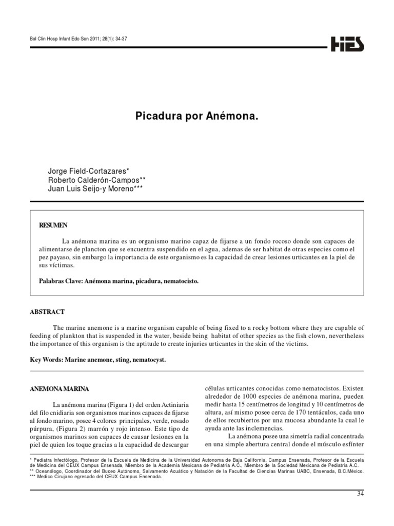 Anatomía y Picaduras de Anémona Marina | PDF | Naturaleza