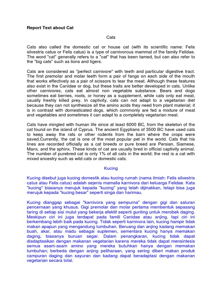 Report Text About Cat | PDF | Cats | Banks