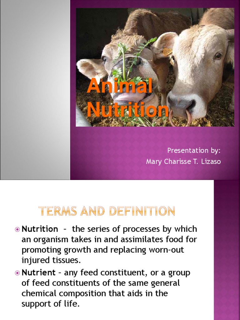 Comprehensive Guide to Animal Nutrition | PDF | Fat | Carbohydrates