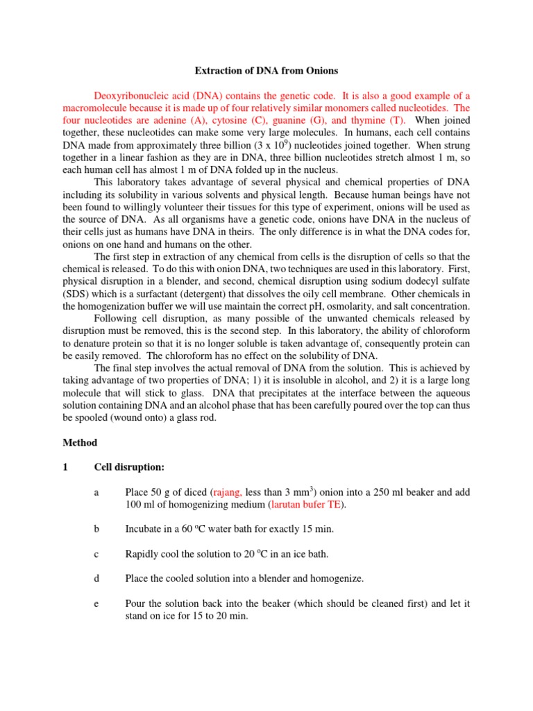 Onion DNA Isolation OK | PDF | Nucleotides | Sodium Dodecyl Sulfate