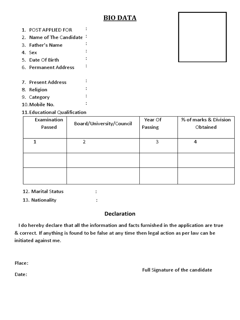Biographical Data and Declaration for Job Application | PDF ...