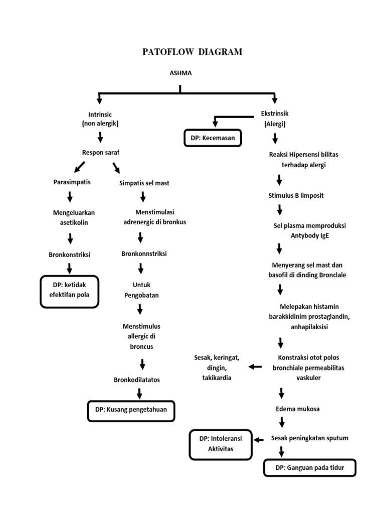 Patoflow Diagram | PDF