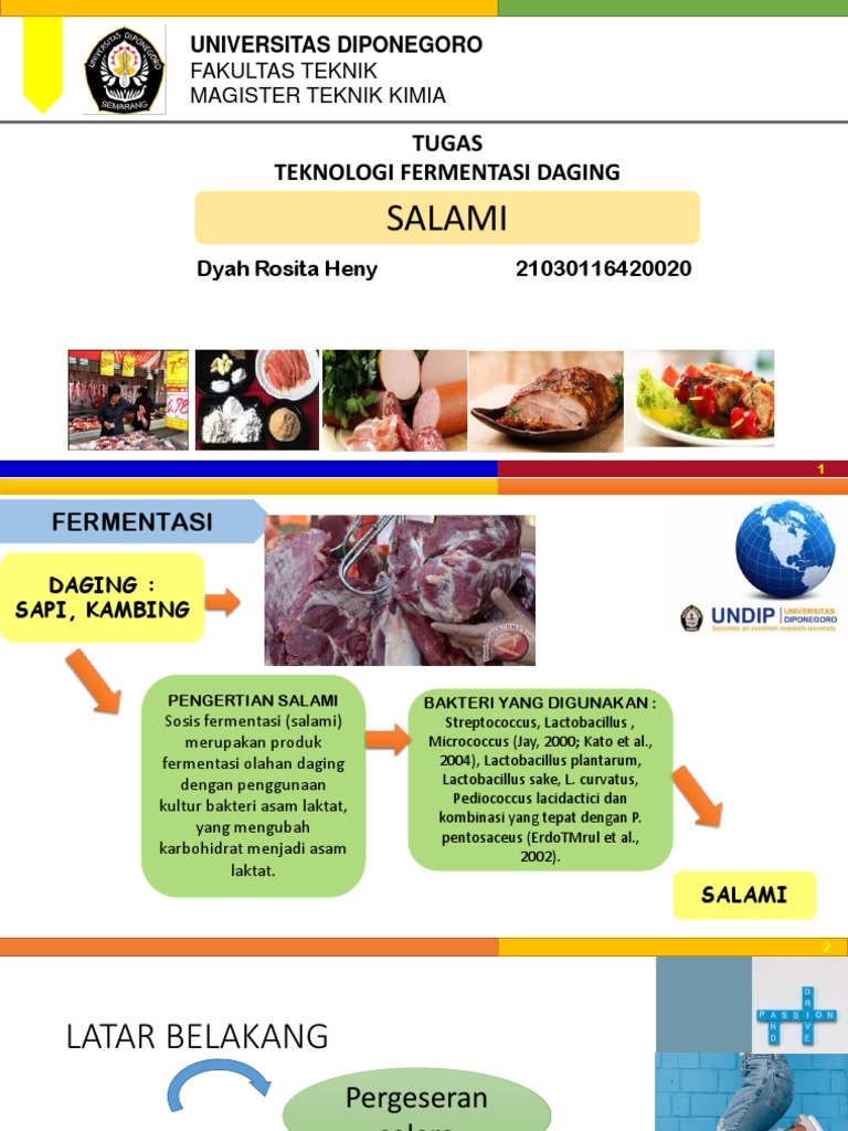 Fembuatan Salami | PDF
