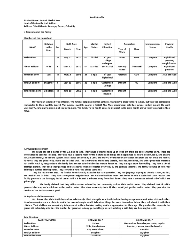Homevisit Plan | PDF | Hypertension | Nursing
