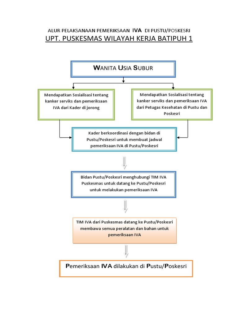 Alur Pelaksanaan Pemeriksaan Iva Di Pustu | PDF