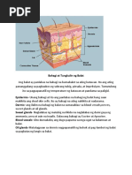 Bahagi NG Dila at Gamit Nito | PDF