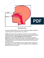 Bahagi NG Dila at Gamit Nito | PDF