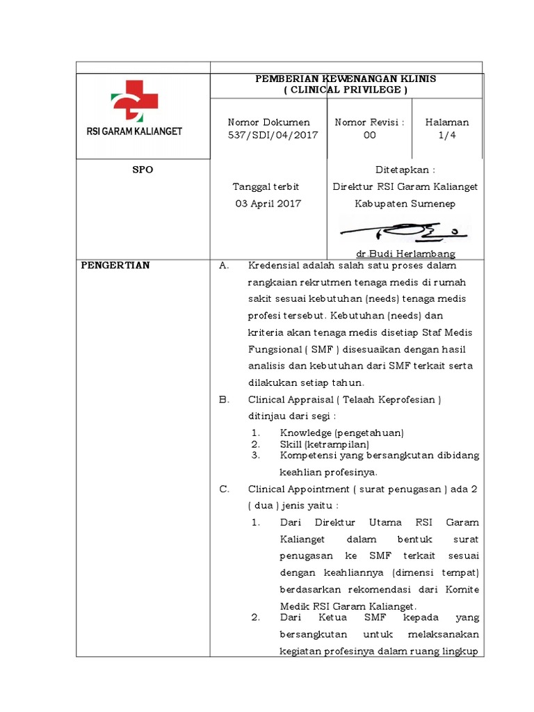 537 SPO Pemberian RKK Staf Medis | PDF