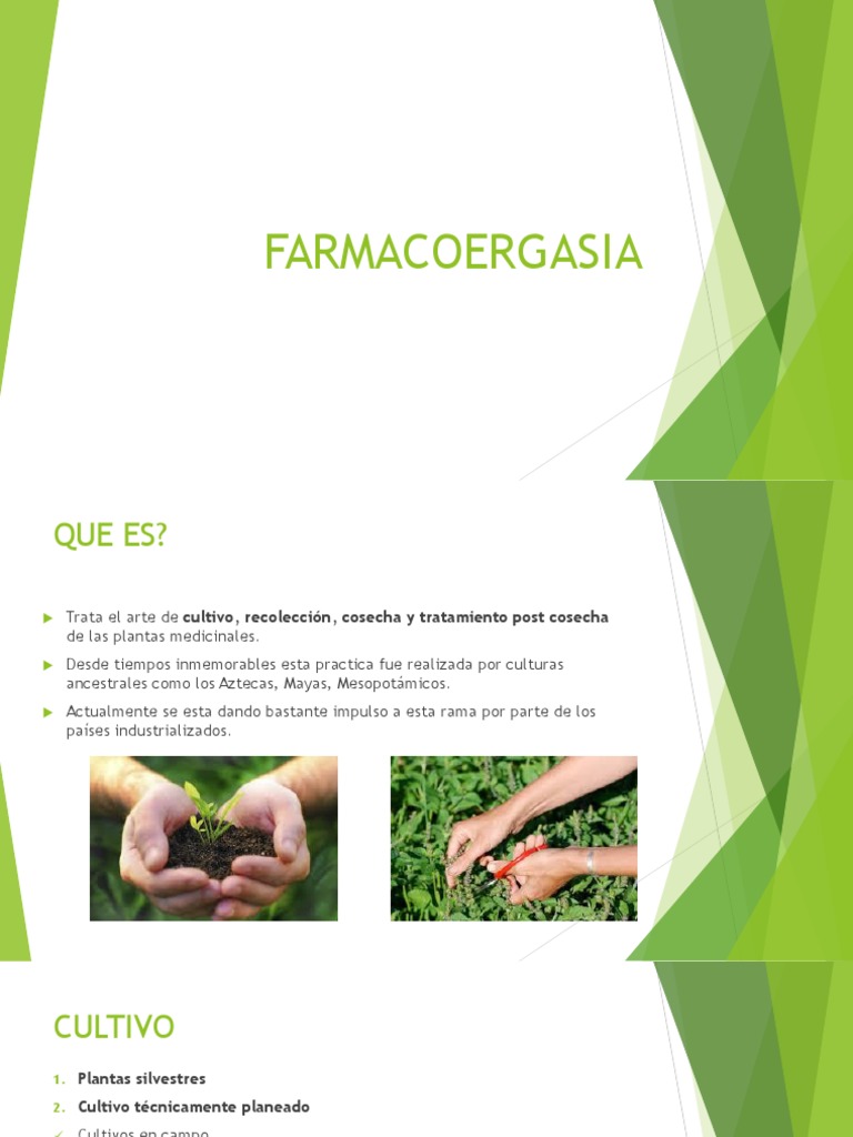 Farmacoergasia (Tema 2) | PDF | Plantas | Suelo