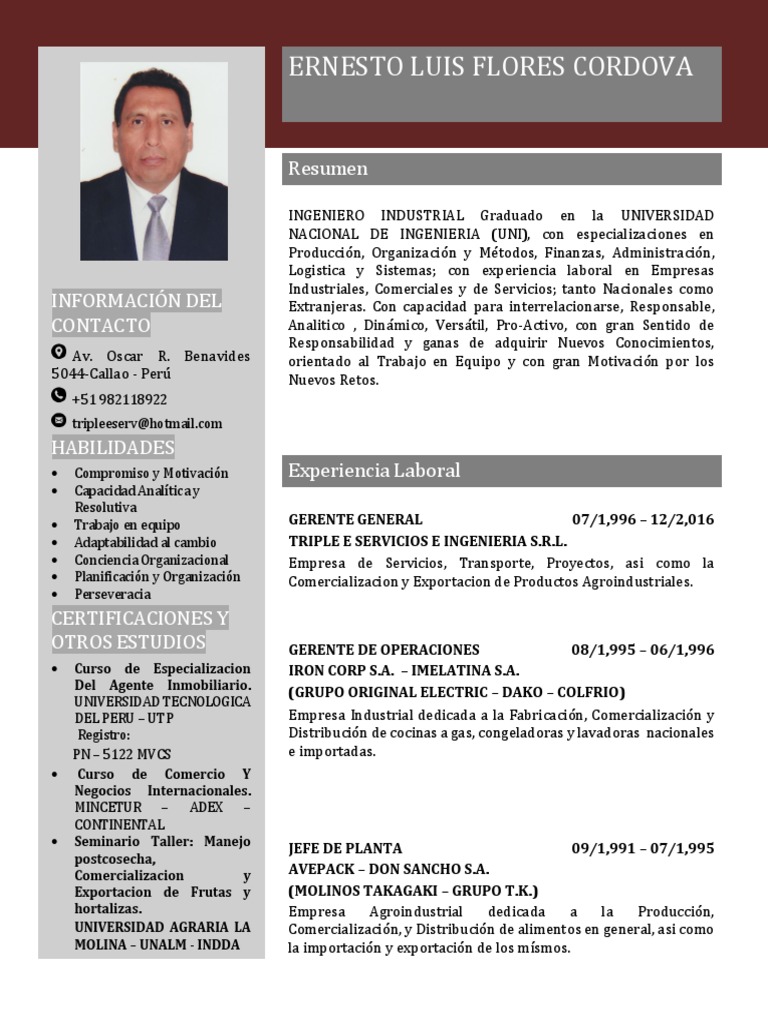 CV Ernesto Luis F Cordova | PDF | Industrias | Organización Industrial