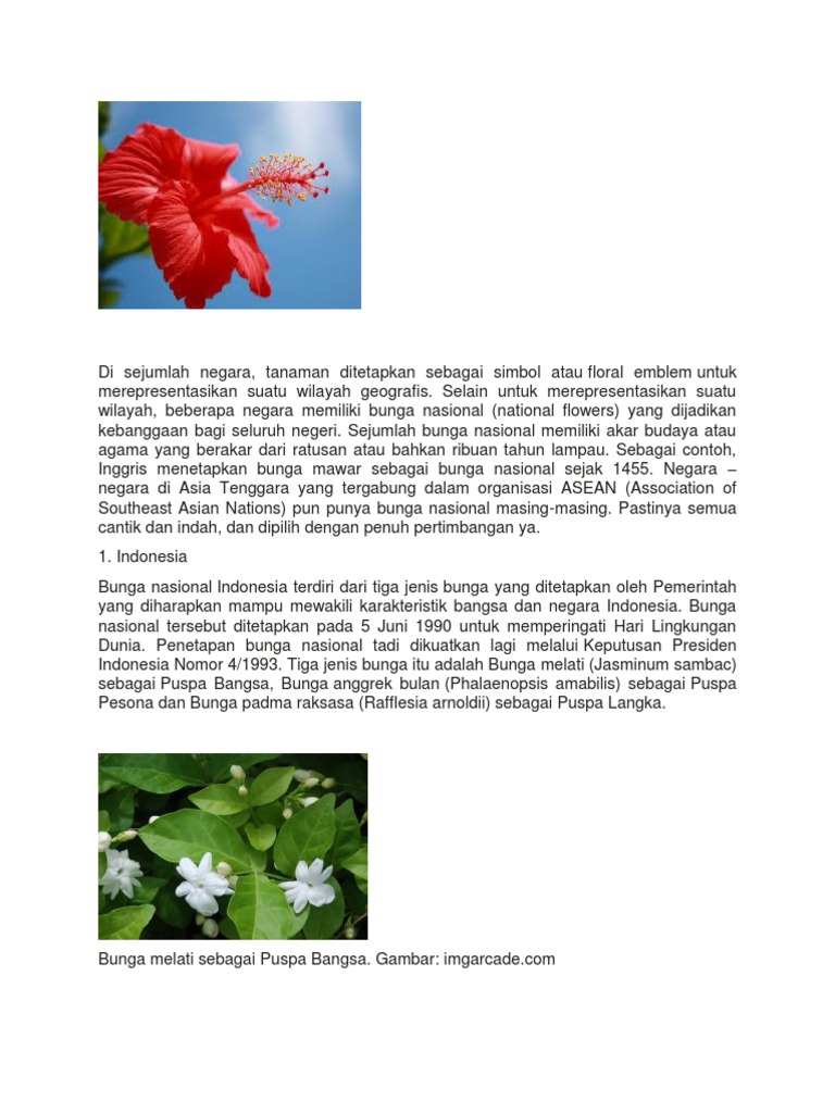 Bunga Negara Asean | PDF