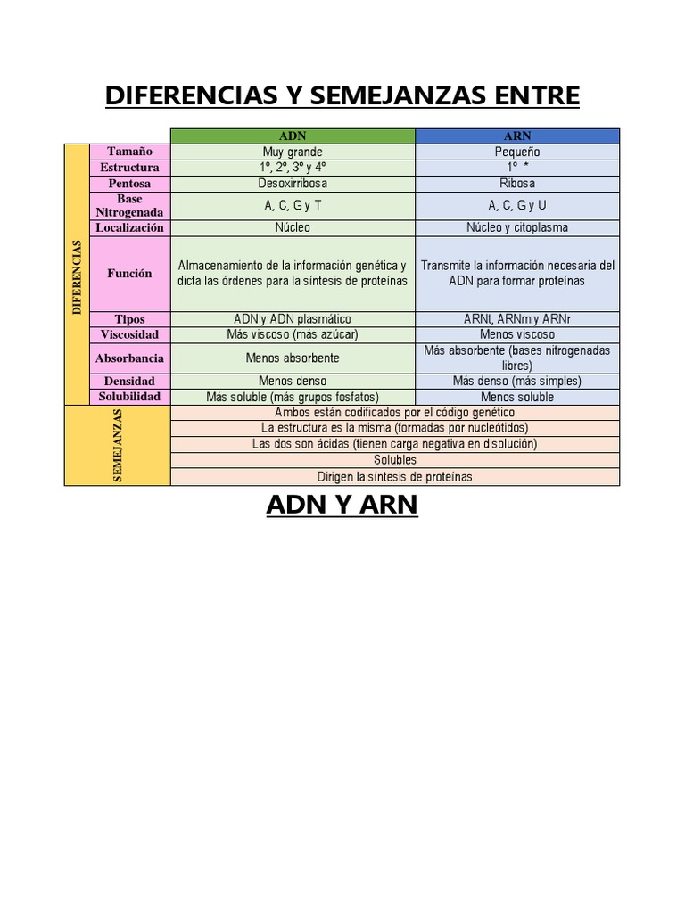 Diferencias Entre Adn Y Arn