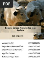 Jenis-Jenis Sapi di Indonesia | PDF