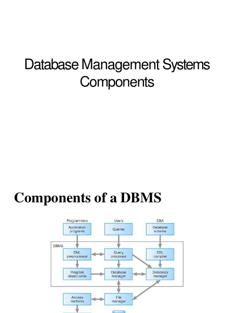 Database Management Systems Components | PDF | Databases | Information ...