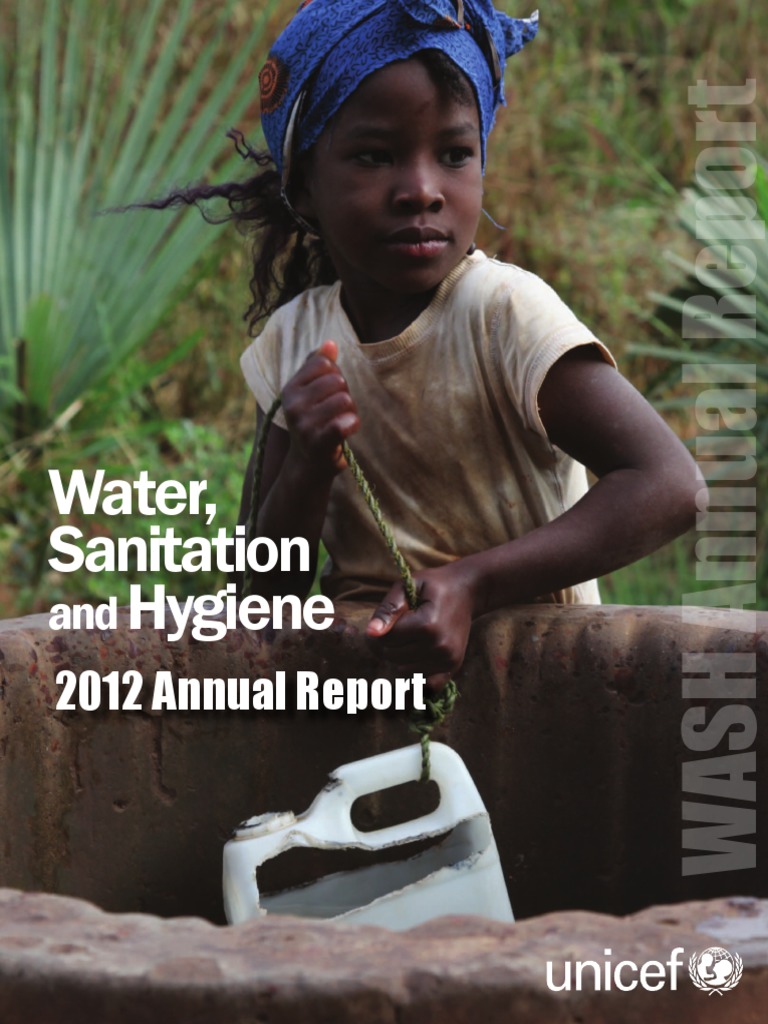 2012 WASH Annual Report 14august2013 Eversion | PDF | Wash | Sanitation