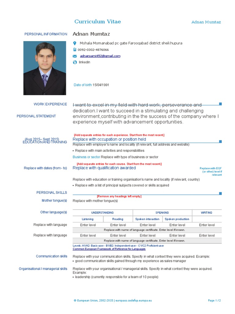 CV Template | PDF | Software | Computing