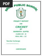 Cricket Physical-Education-Project | PDF | Games Of Physical Skill ...