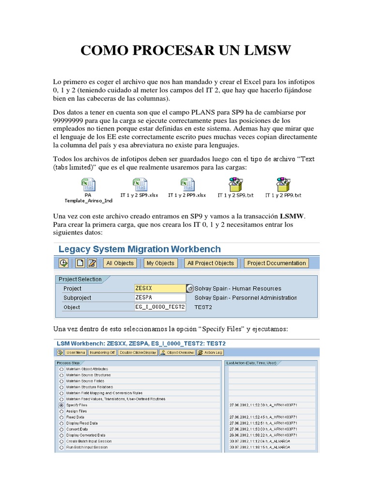 LSMW Process | PDF | Archivo de computadora | Microsoft Excel