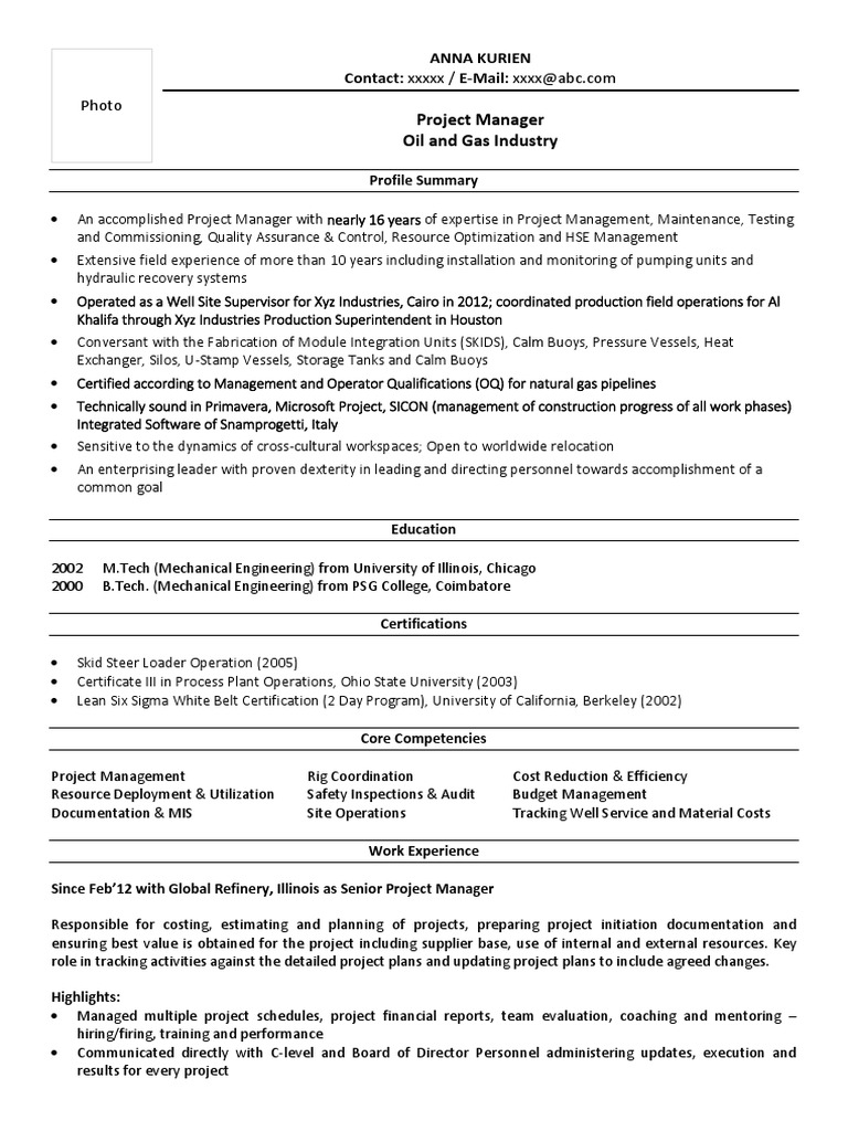 Project Manager - Oil & Gas | Download Free PDF | Project Management ...