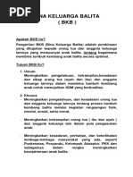R1 BKB - 20 | PDF