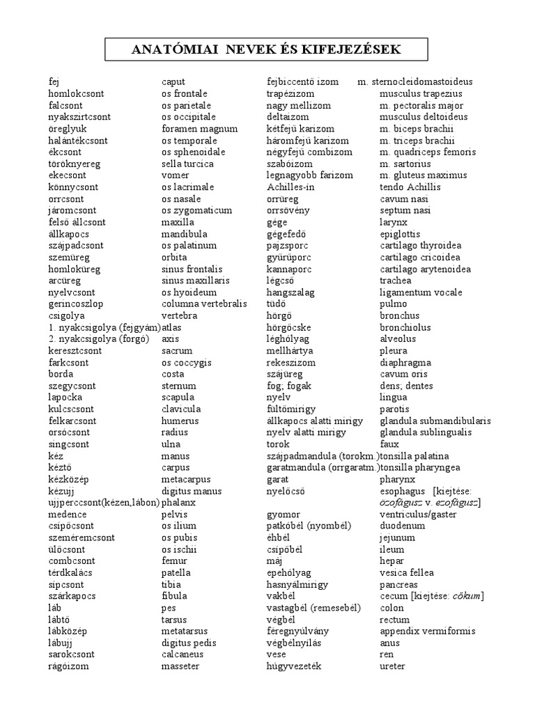 Anatomia Nevek Es Kifejezesek | PDF